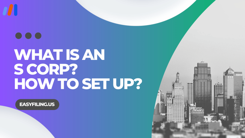 What is an S Corp? How to Set Up an S Corp