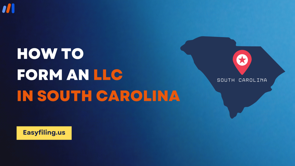 Form an LLC in South Carolina | SC Formation Expert